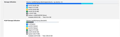 System Storage Utilisation Display Issue · Issue 6885 · Ntopntopng