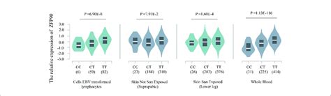 Plot Showing The Results Of Cis Eqtl Analysis For Snp Rs1170426 In Download Scientific