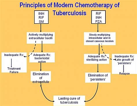 Tuberculosis Treatment Regimen