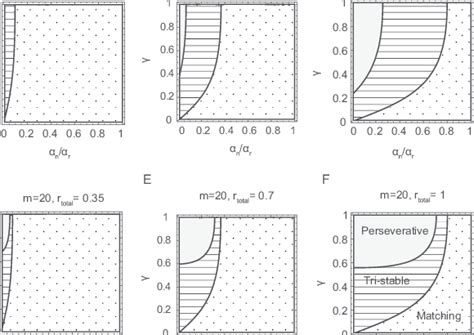 How The Parameters Of The Neural Circuit And The Experimental Protocol Download Scientific