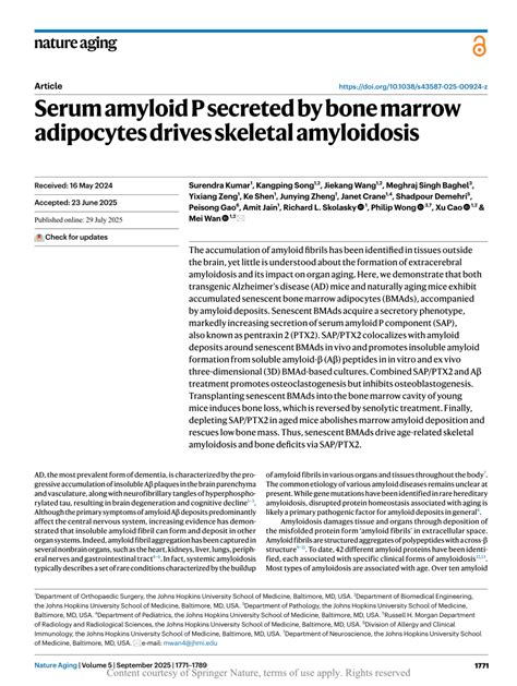 Pdf Serum Amyloid P Secreted By Bone Marrow Adipocytes Drives