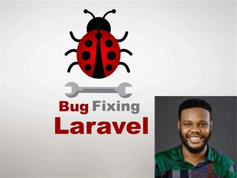 php bugs fixing in laravel websites upwork