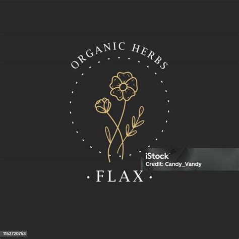 아마 꽃입니다 스파 및 뷰티 살롱 부티크 유기농 상점 웨딩 꽃 디자이너 인테리어 및 화장품 용 로고 식물 꽃 요소입니다 식물에 대한 스톡 벡터 아트 및 기타 이미지 Istock