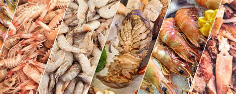 생선 새우 바닷가재 오징어를 곁들인 해산물 요리 콜라주 0명에 대한 스톡 사진 및 기타 이미지 0명 갑각류 건강한 생활