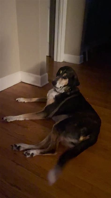 Thump Thump Thump Scrolller