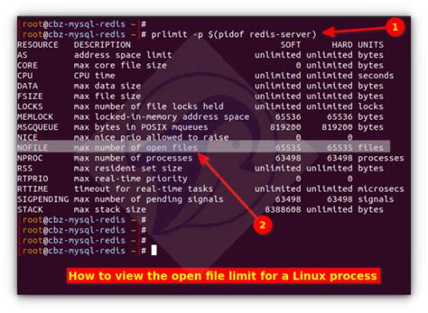 How To View The Open File Limit For A Linux Process Nixcraft