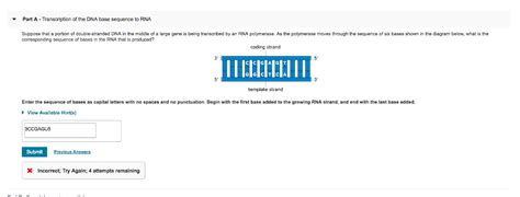 Solved Part A Transcription Of The Dna Base Sequence To Rna