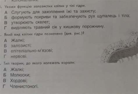 Укажи функцію залозистих клітин у тілі гідри А Слугують для захоплення їжі та захисту Б