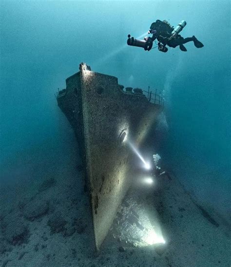 На дне морском | Пикабу