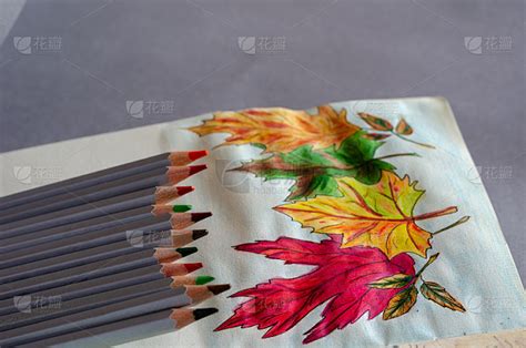 手绘枫叶的秋天。画秋天的落叶