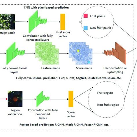 Fruit Detection And Localization Using Various Dl Based Semantic