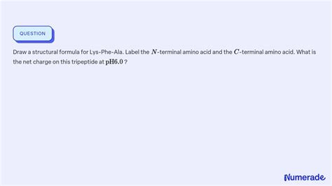 Solved Draw A Structural Formula For Lys Phe Ala Label The N Terminal Amino Acid And The C