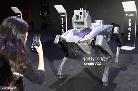 14 Photos And High Res Pictures Getty Images