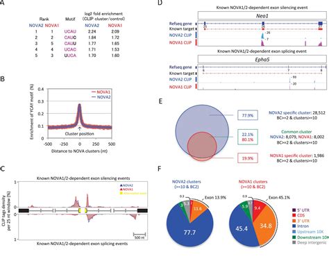 Figures And Data In Nova2 Mediated Rna Regulation Is Required For Axonal Pathfinding During