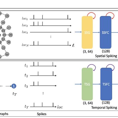 Figure The Structure Of The Hybridlifgnn Where Ssg Is The Spatial