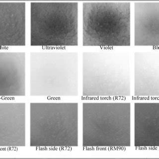 Examples Of Gray Scale Converted Images Under Different Light Source Download Scientific