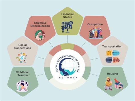 Social Determinants Of Health Network