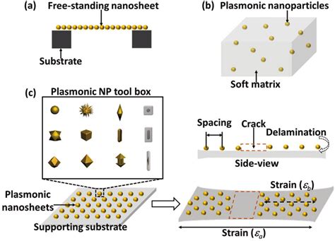 Design Of 2d Soft Plasmonic Nanostructures Schematic Of A
