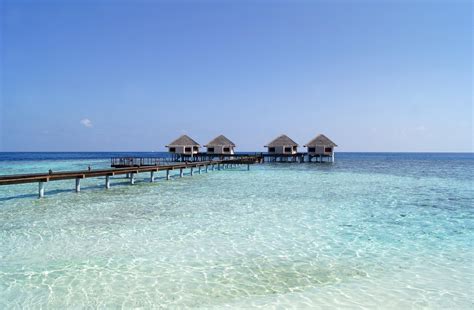 30000 Free Maldives Islands And Maldives Images Pixabay