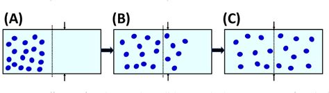 Figure From Diffusiophoresis Of Macromolecules Within The Framework Of Multicomponent