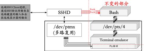 Linux终端和line Discipline图解 Csdn博客