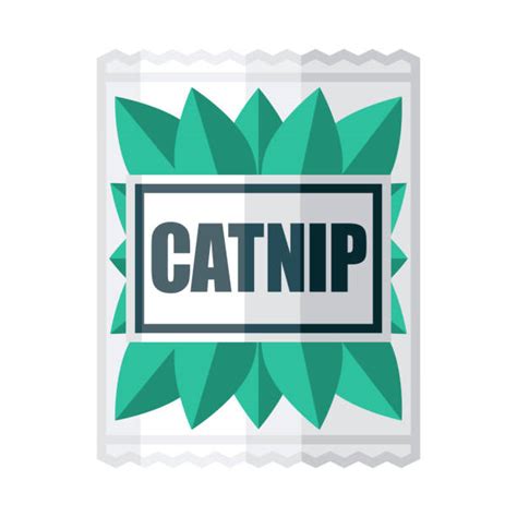 Catnip Vector Stock Vectors Istock