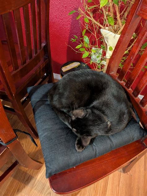 What S Going On With Rpgmaker Net RPG Maker Forums