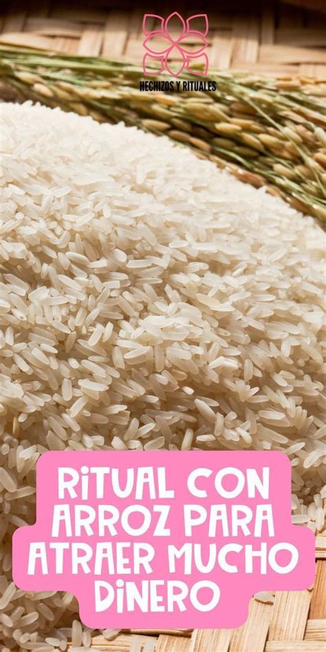 75 Ideas De Algoritmos Programacion En 2025 Algoritmos Programacion Programacion Educacion