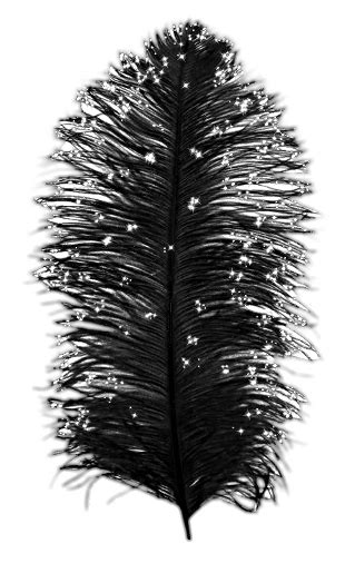 Second Life Marketplace Sanna Strass Black Burlesque Feather Alpha Mp