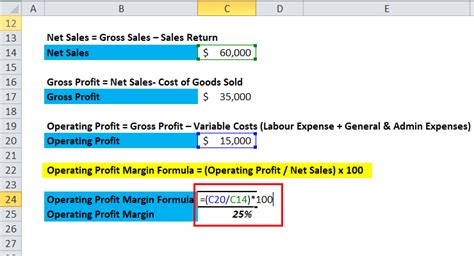 Operating Profit Margin Calculator SoorenSavourna
