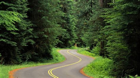 使用 Jupyter Notebooks 构建一个远程管理控制台 Linuxstory