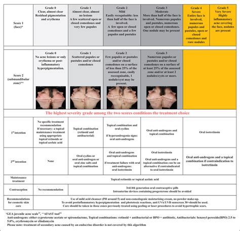 Jle European Journal Of Dermatology Afast An Adult Female Acne