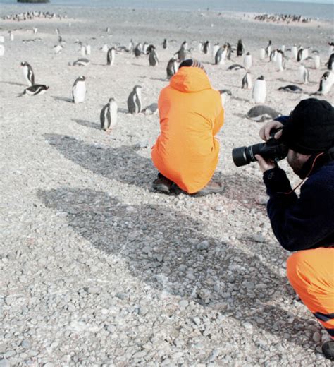 Digital Research Tools And Services Ardc