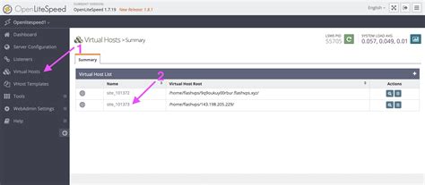 Openlitespeed Flashpanel