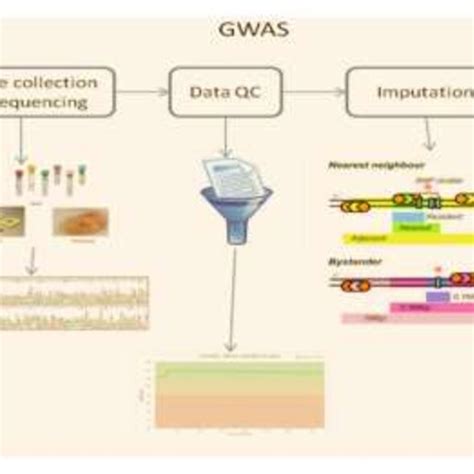 How Gwas Works Encyclopediapubentry1720 Next Generation