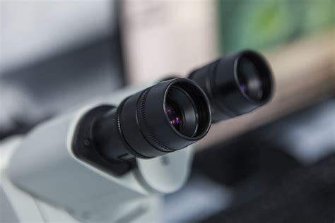 How To Calculate The Field Of View In A Microscope