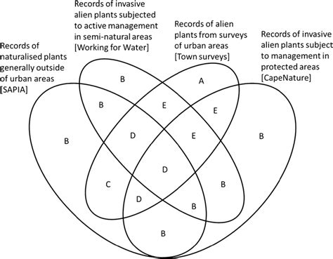 Conceptual Diagram Indicating The Composition Of Information Within Download Scientific Diagram