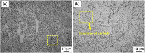 Microstructure Of Deformed Specimens At A Strain Rate Of 01 S À1 And A