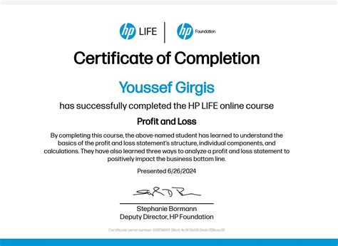 Youssef Girgis On Linkedin Hp Life