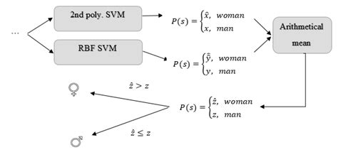 Proposed Classification Method Scheme Download Scientific Diagram