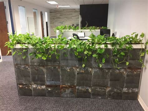 Hcp Associates We Have An Endless Pursuit Of Formalizing Curiosityhcp