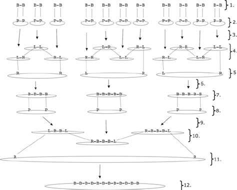 Assembly Of Multiple Dna Fragments By Stepwise Lr Recombination