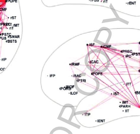 As Shown By Jirsa Et Al [31] Using A Neurocomputational Network Download Scientific Diagram