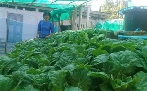 ဒွက်မန် အရာရာ Mon Soung Added A ဒွက်မန် အရာရာ Mon Soung