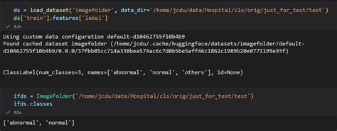 Classes Label Error When Loading Symbolic Links Using Imagefolder · Issue 5098 · Huggingface