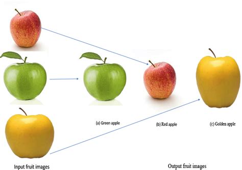 Fruit Classification Using The Integrator Generator Download Scientific Diagram