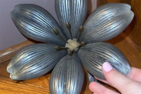 ТикТокерка пронашла чуден предмет во куќата на баба си сите погодуваат за што служи ВИДЕО