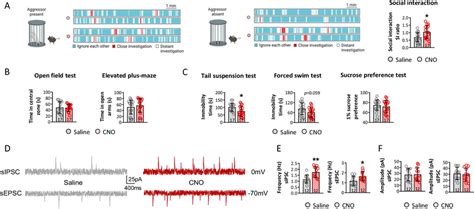 Suppressing Astrocytes In Mpfc Of Susceptible Mice Reversed Download Scientific Diagram
