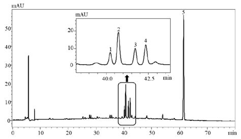 Highperformance Liquid Chromatography Photodiode Array Hplc Pda Download Scientific Diagram