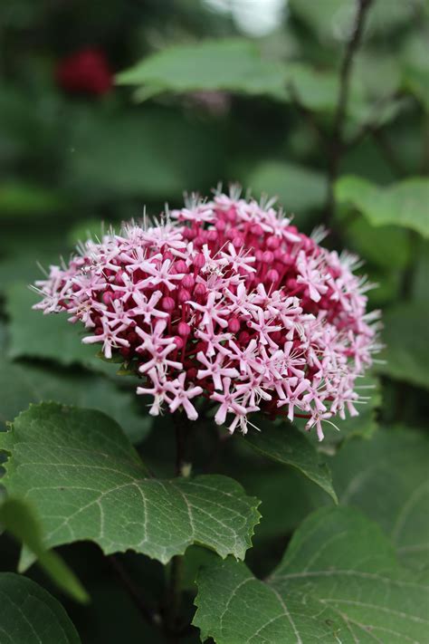 2 000 000 ảnh đẹp Nhất Về Ảnh Sex · Tải Xuống Miễn Phí 100 · Ảnh Có Sẵn Của Pexels